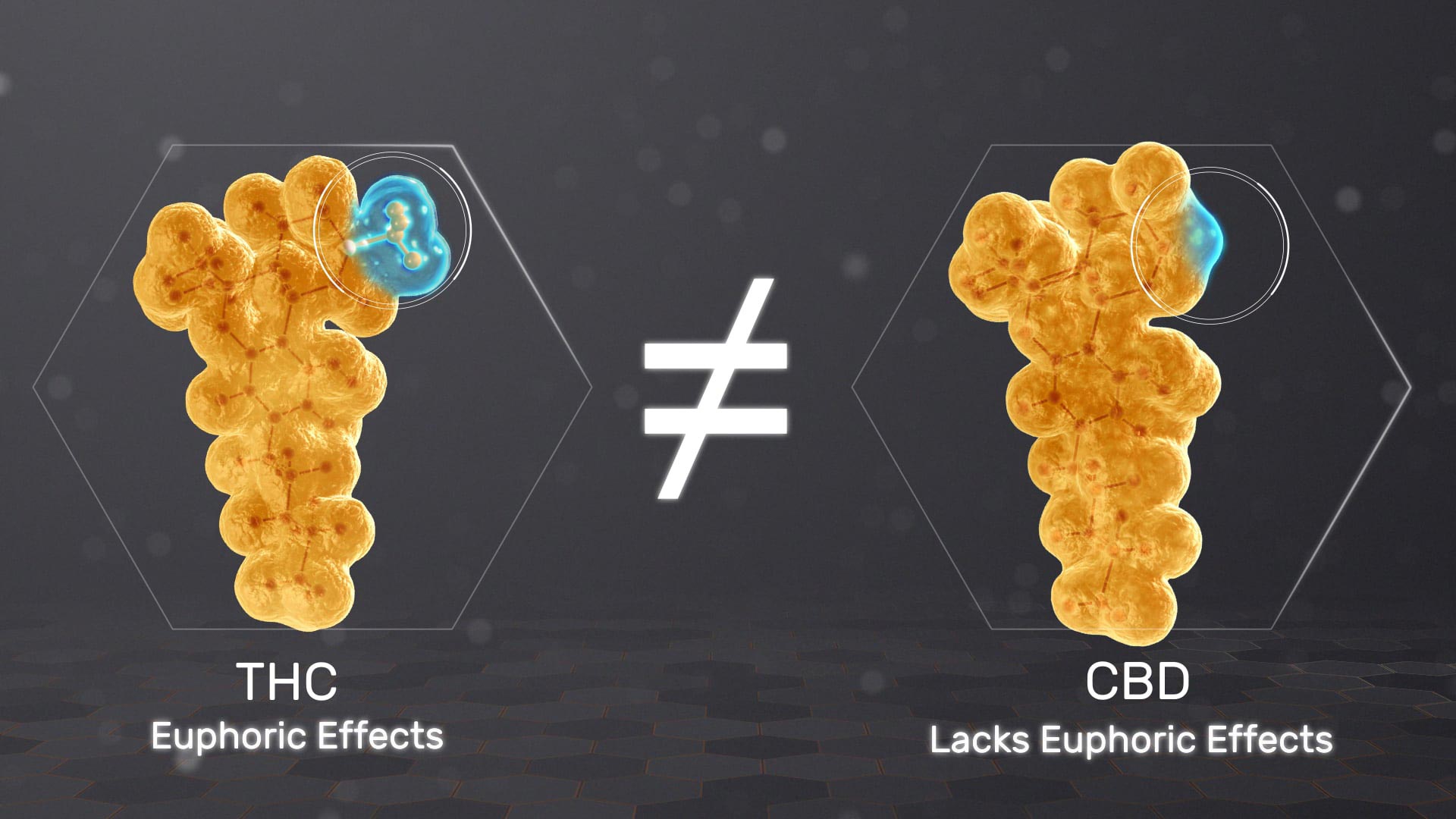 CBD vs. THC | Differences, Effects, Benefits | Cannabinoid Clinical